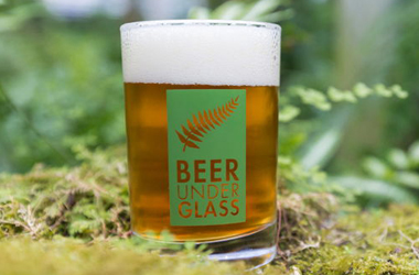 Beer Under Glass | Fulton Grace Realty