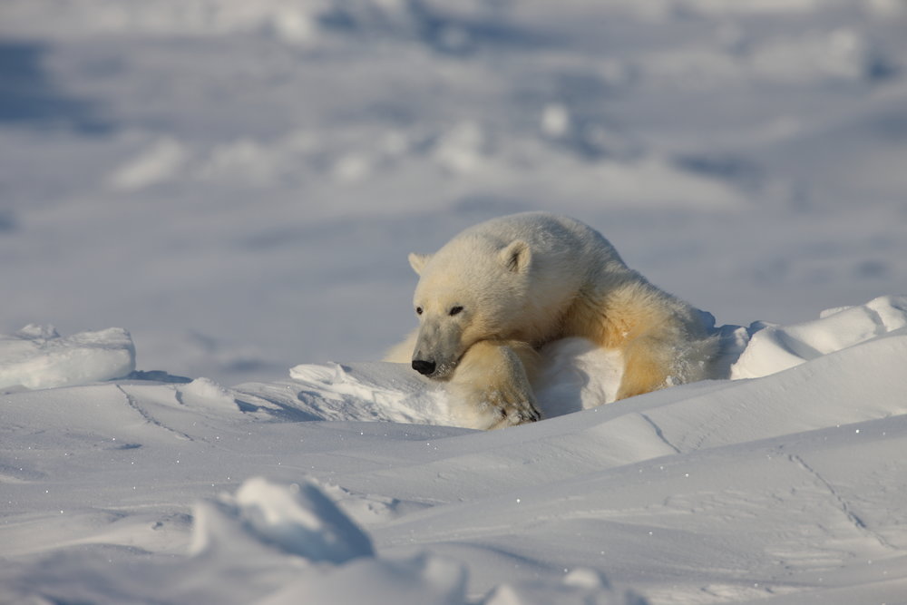 Jason+Roberts+Productions_0066 | Fulton Grace Realty