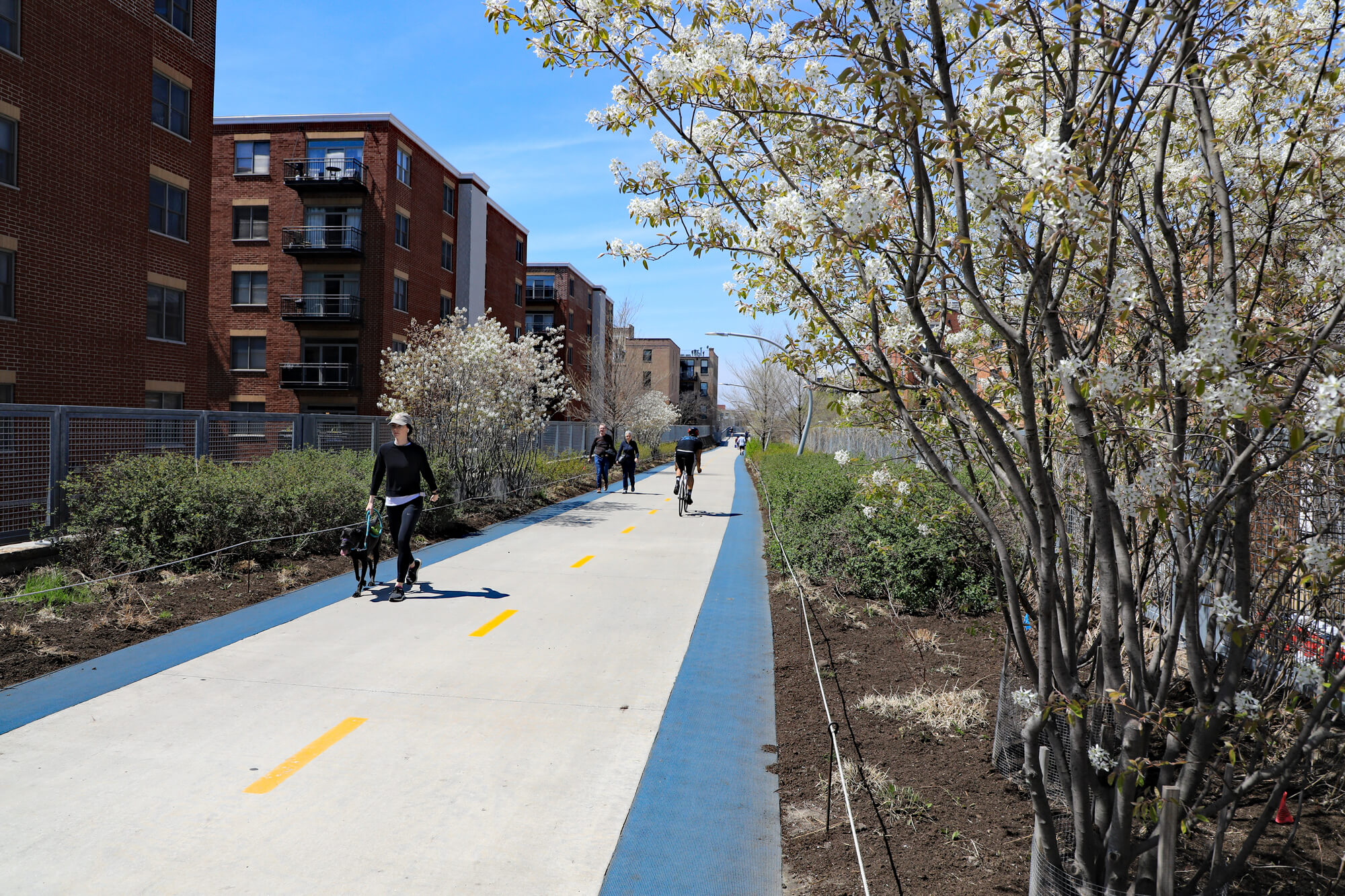 Are Chicago Apartments Near the 606 Trail Expensive? | Fulton Grace Realty